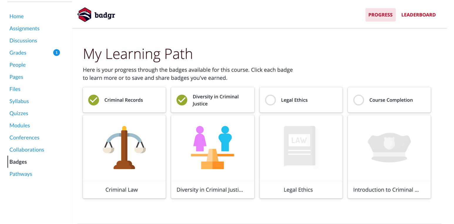 Students using Badgr and Badgr Pathways in a Canvas course